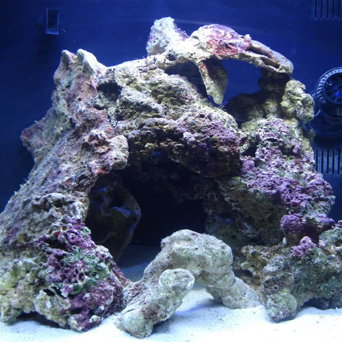Living Rock Aquarium